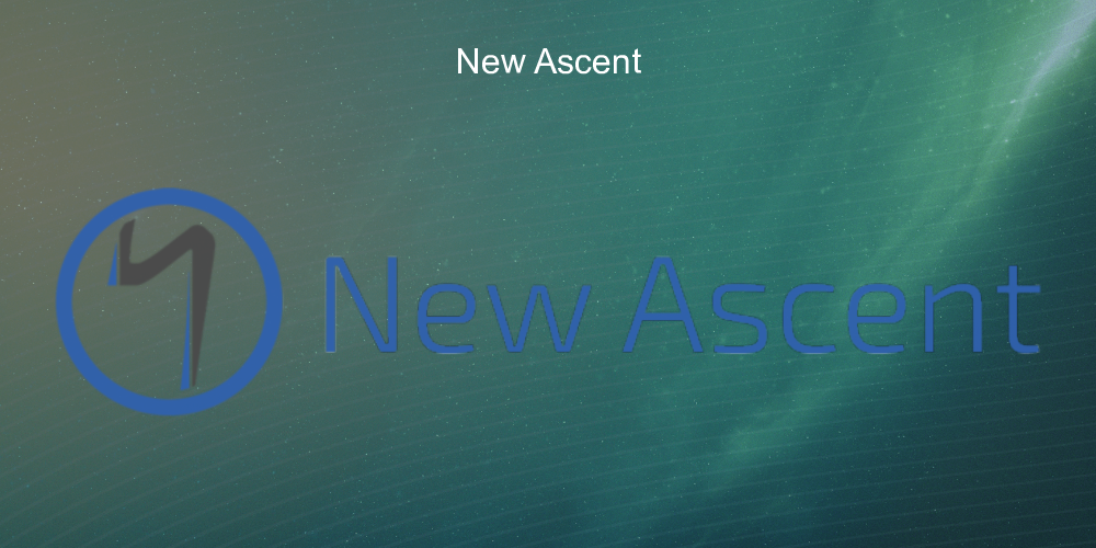 New Ascent - Launcher - NewSpace Index